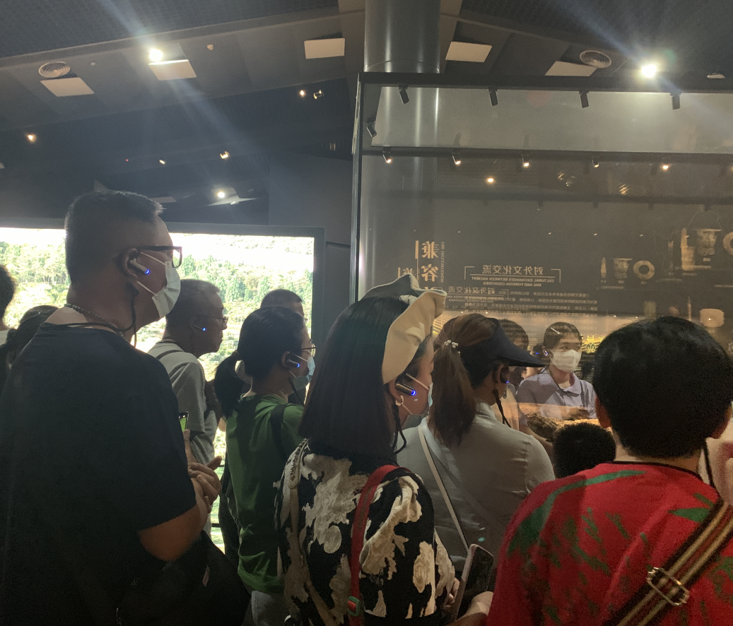 Wireless Group Audio Guide - Leading Audio Guide Company